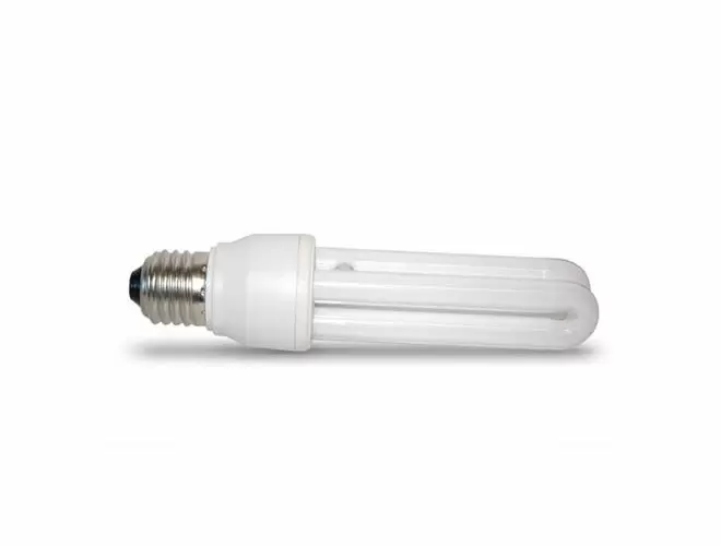 13 Watt Ecolite Standard Bulb